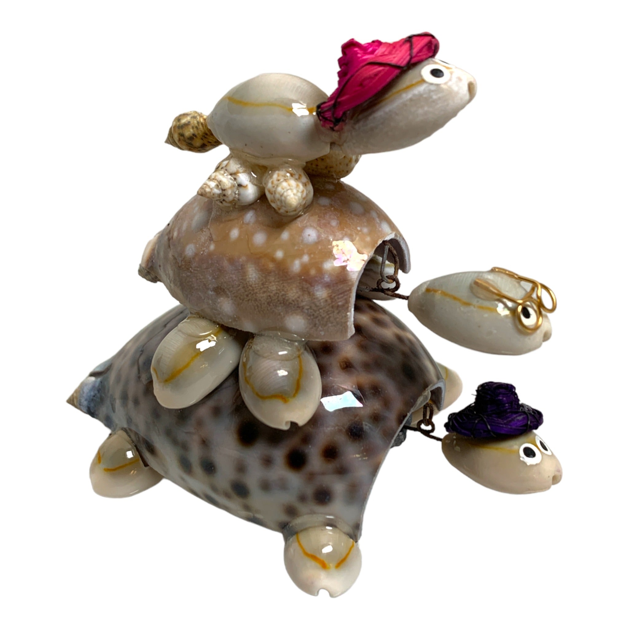 COWRIE SHELL TURTLE TRIPLE RIDER – Tropitek-Wholesale