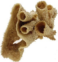 TUBE SPONGE 5 - 7 – Tropitek-Wholesale