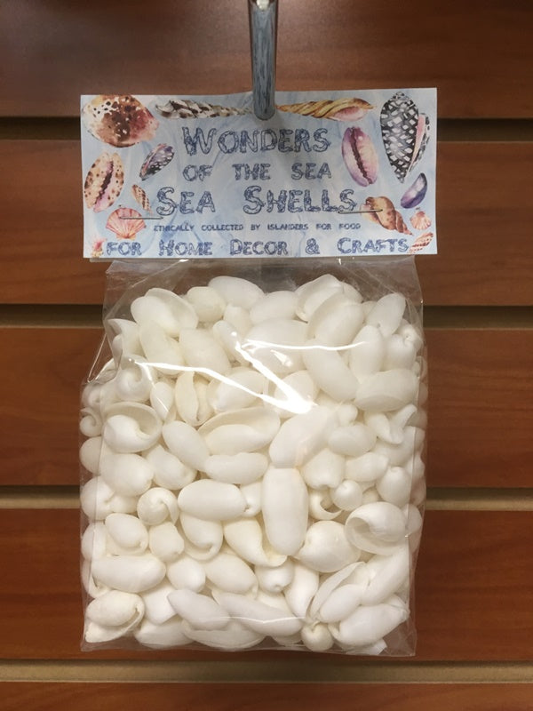 Wonders Of The Sea - White Bubble Shells - 1 inch - 200 grams - Philip ...