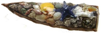DINGHY SHELL PACK ASSTD SHELL COLOURS – Tropitek-Wholesale