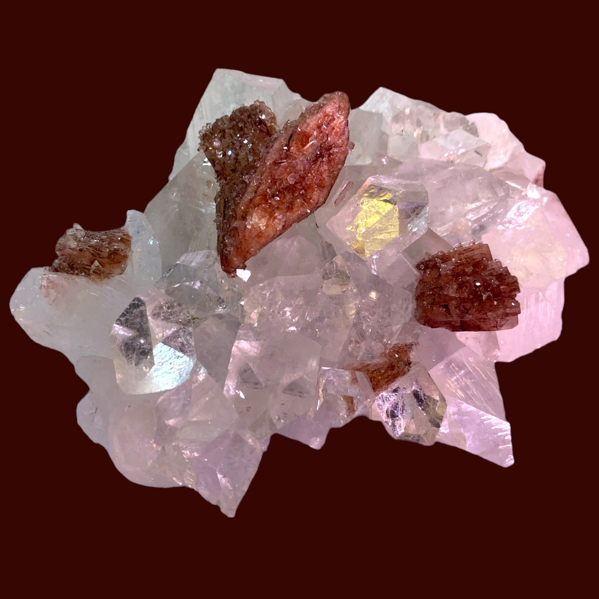 #1 Apophyllite AAA Fish Shape Heulandite with hematite inclusions - 40 ...