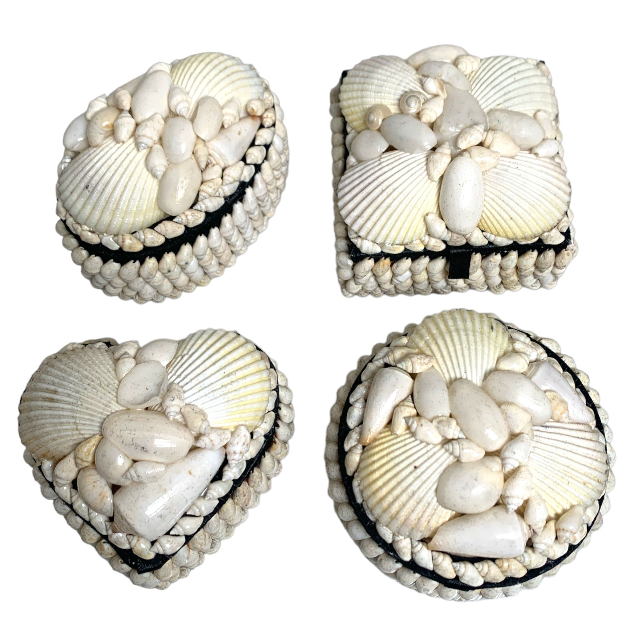 SHELL JEWEL BOX - 4 inch MEDIUM - 4 ASS T SHAPES – Tropitek-Wholesale