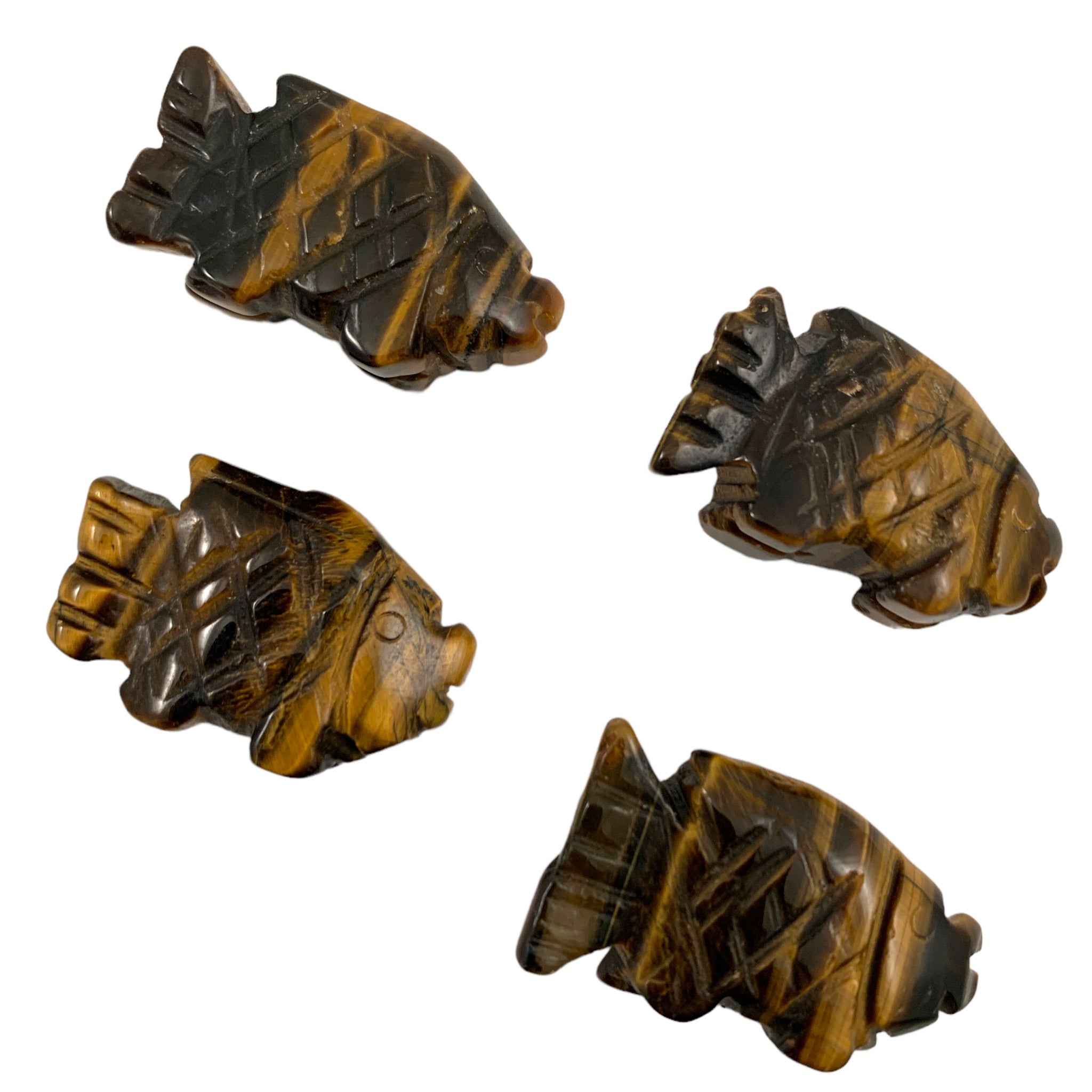Fish - Tigers Eye - Baby - 25mm - NEW1022 – Tropitek-Wholesale